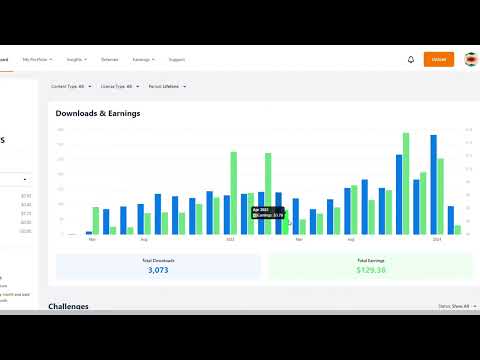 My experience with Vecteezy   overview