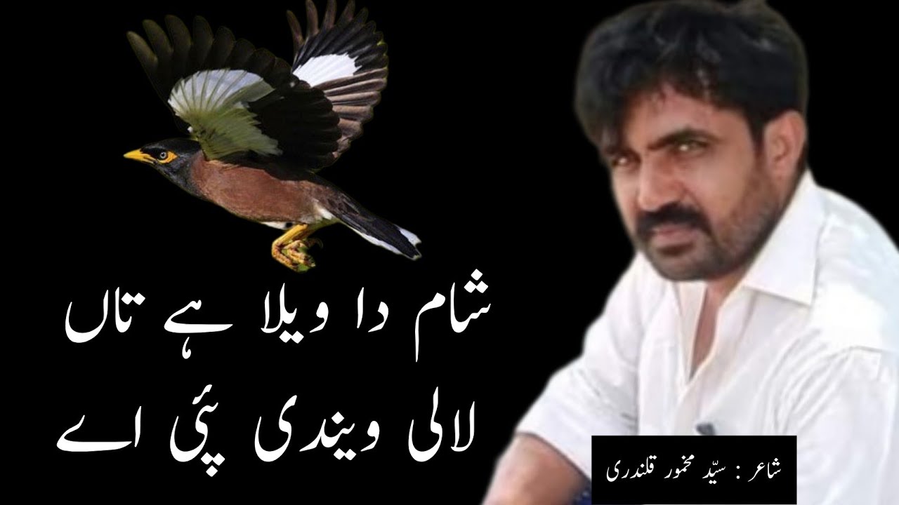 makhmoor qalandri saraiki poetry || Sham da vella hai || نظم : شام دا ...