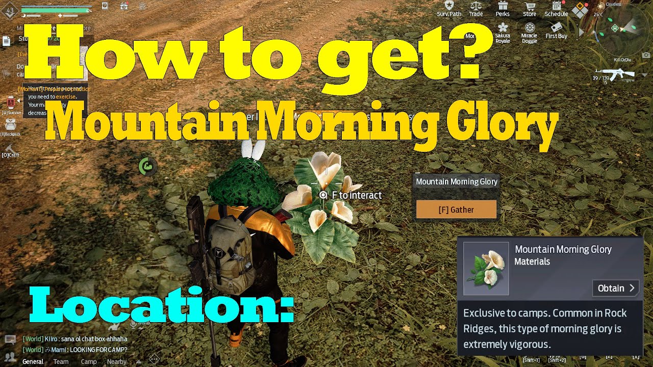 How to get Mountain Morning Glory garena undawn - YouTube