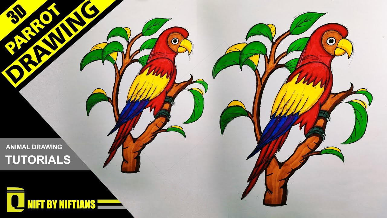 3D Parrot Drawing | Animal Figure Drawing [Dezine Quest] - YouTube