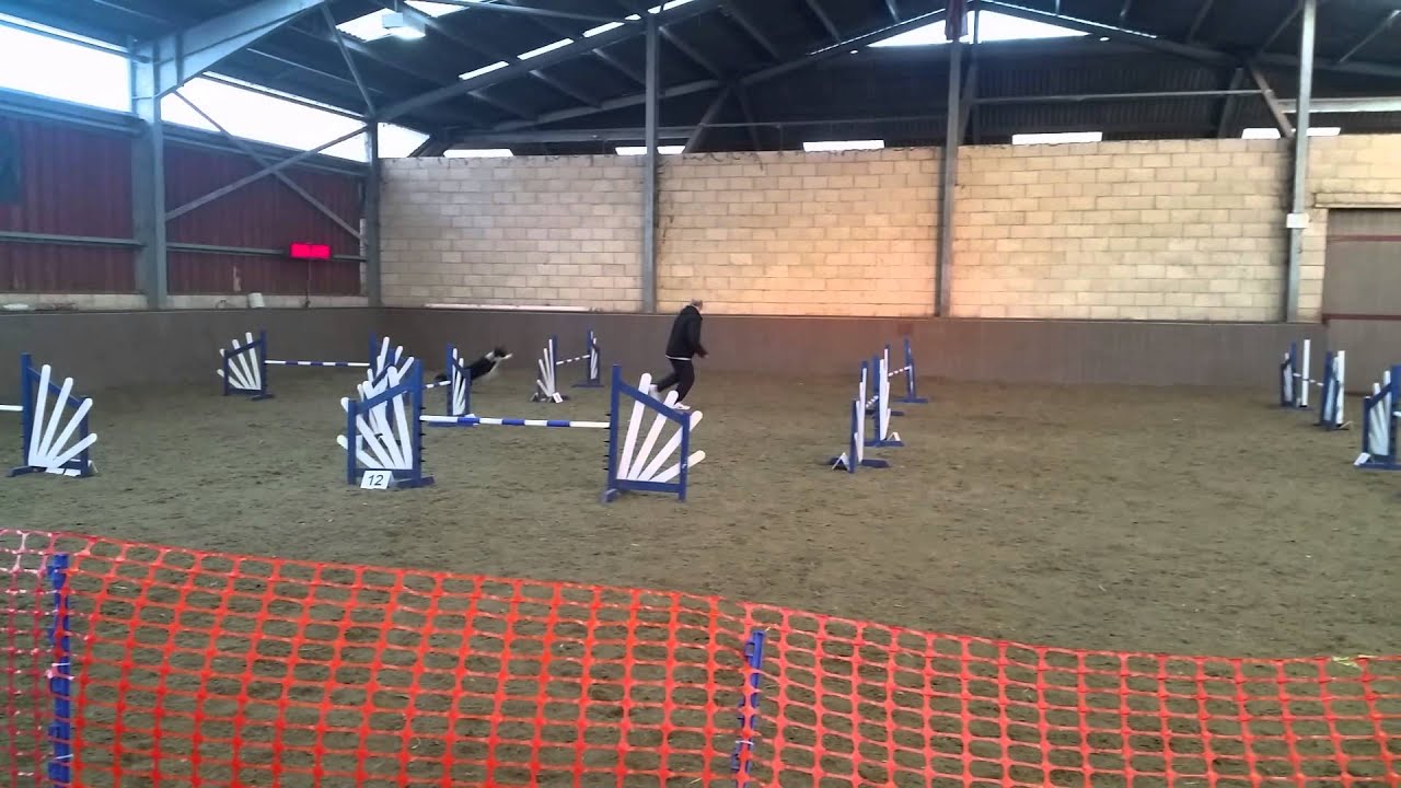 Neil & Mist Steeplechase Bitz n Bobz - YouTube