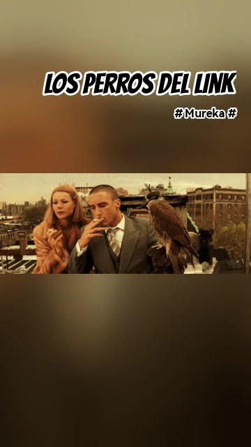 Los Perros del Link - Autor: Rodolfo J. Veliz - YouTube