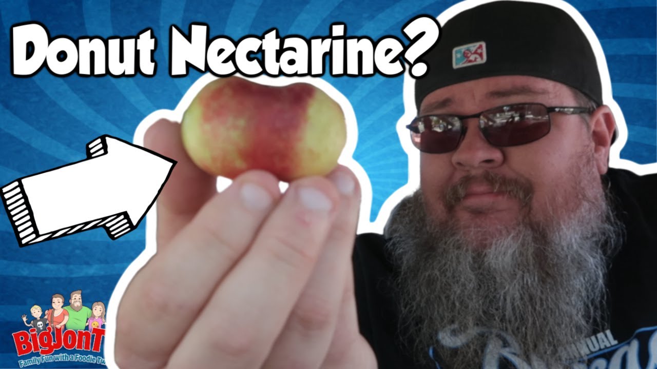 Donut Nectarine?! || U-Pick Fruit Farm || Taste Test Tuesday - YouTube
