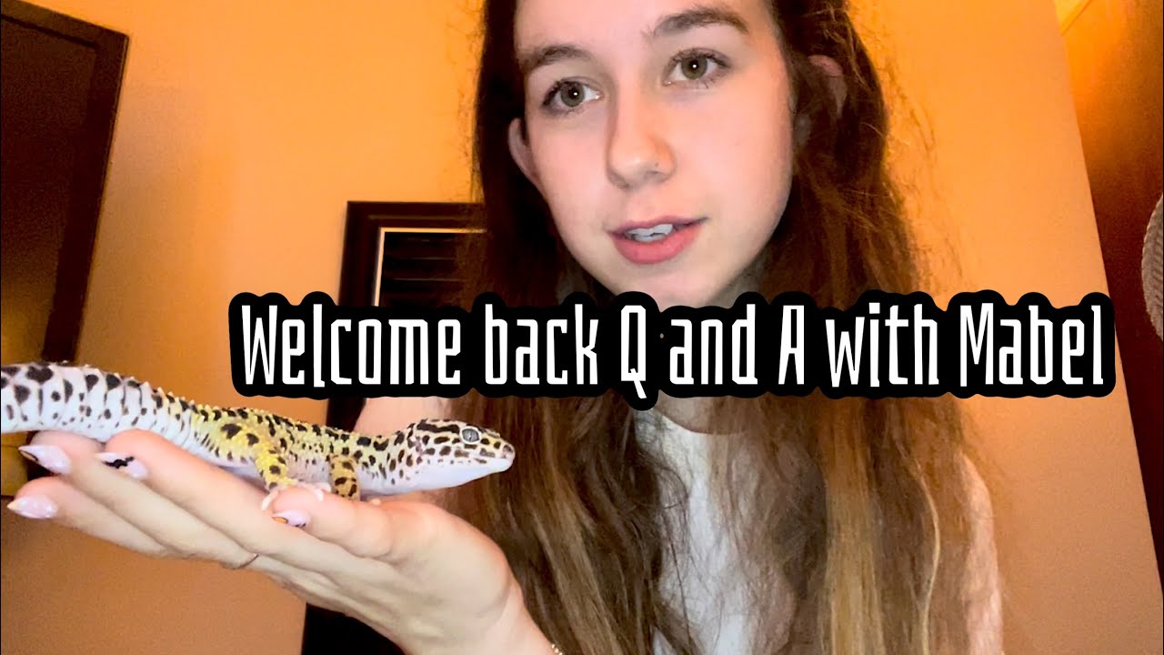 Welcome back Q and A with Mabel 🤍 - YouTube