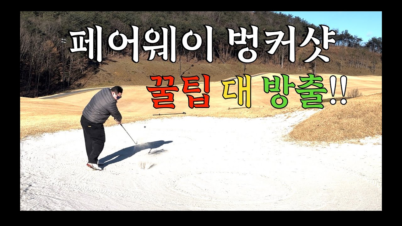 골프 페어웨이 벙커 잘 치는 방법 페어웨이벙커 벙커샷 테프로 골프레슨 초보자 골프 스윙 The Pro Golf