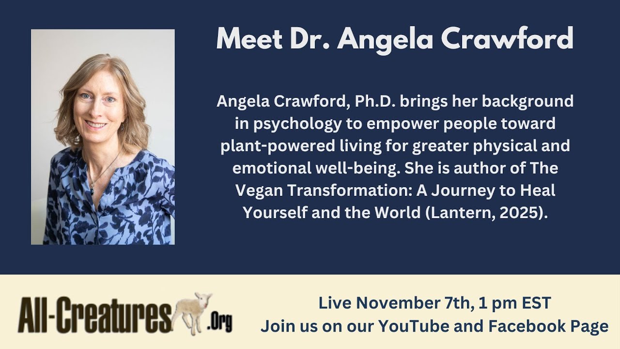 Meet Dr. Angela Crawford, The Vegan Transformation - YouTube