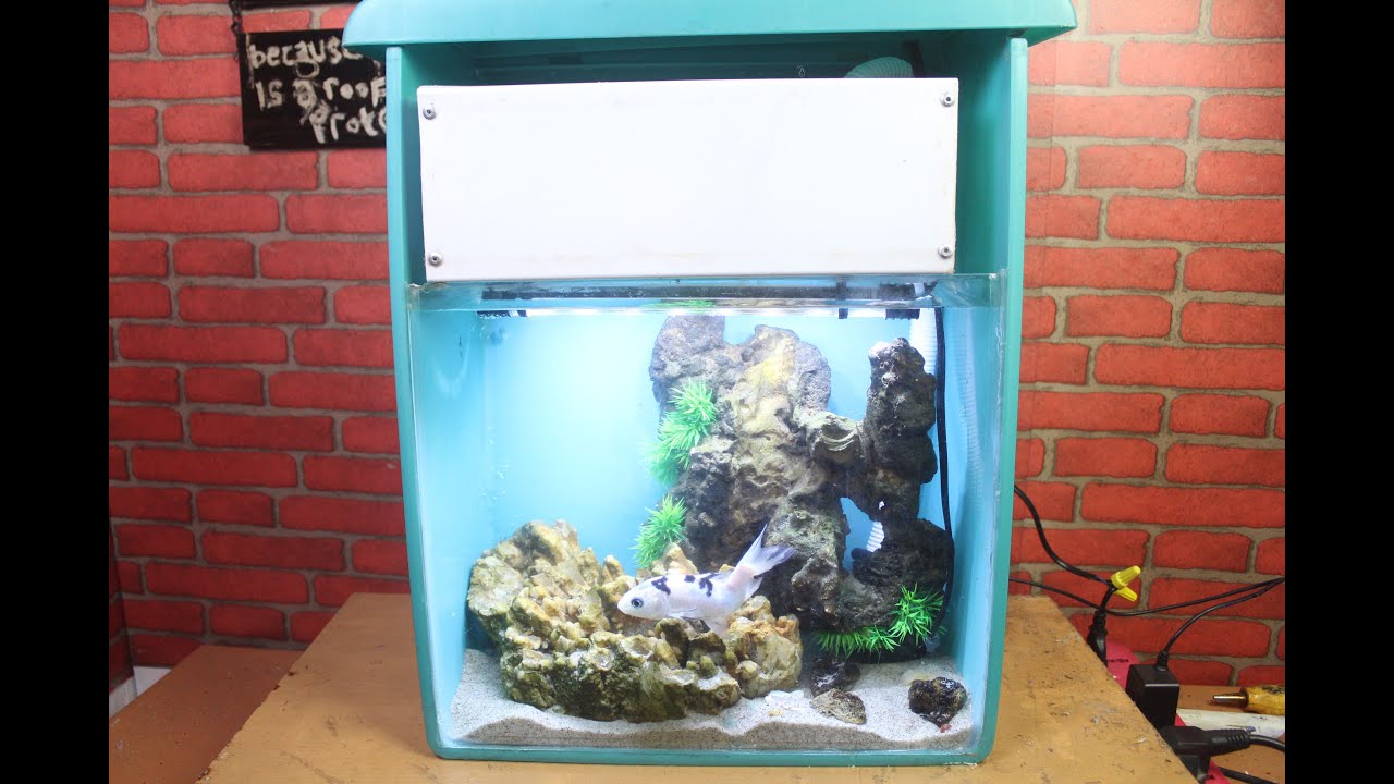 membuat aquarium mini filter atas - YouTube