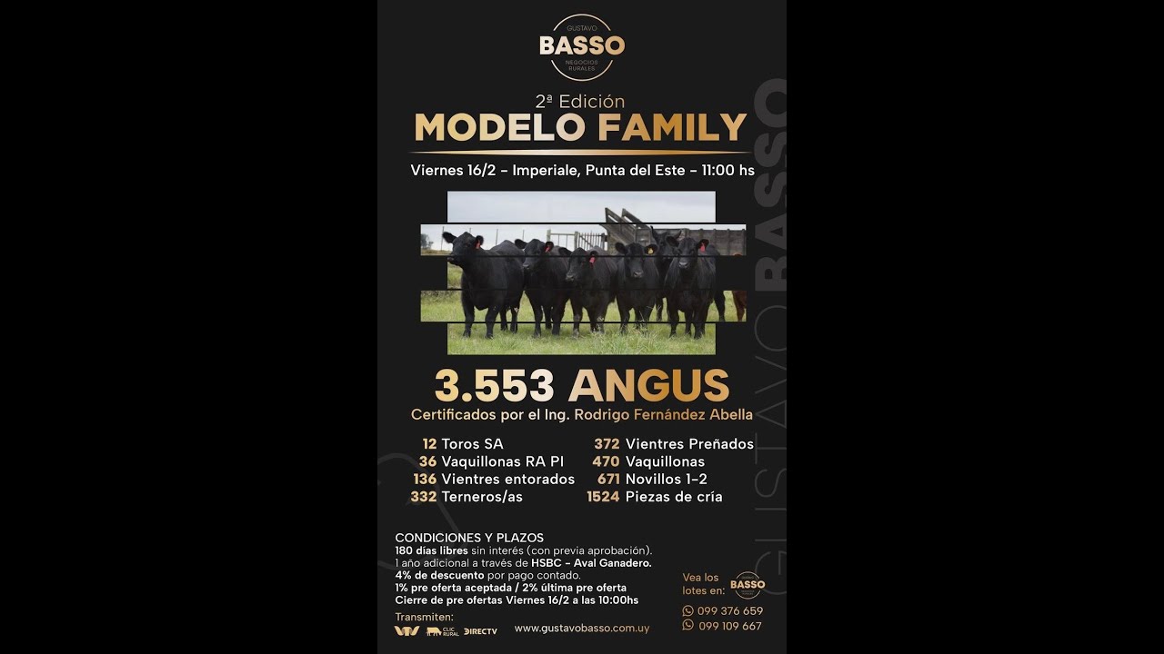 16/02/2024 Gustavo Basso Negocios Rurales / Torre Imperiale 1 - Punta ...