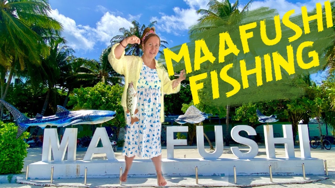 MALDIVES. Maafushi local island. Night fishing. Relieve version. - YouTube