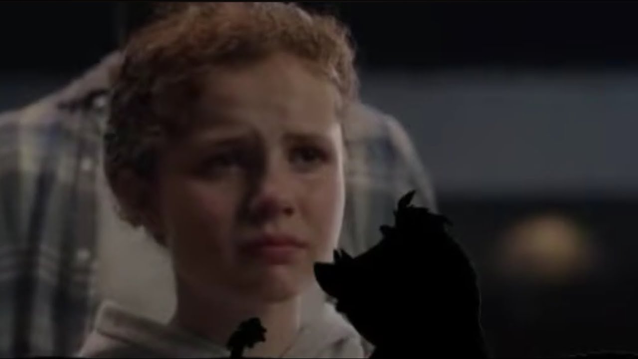 Timon and Pumbaa internet 7 Clifford the big red dog 2021 - YouTube