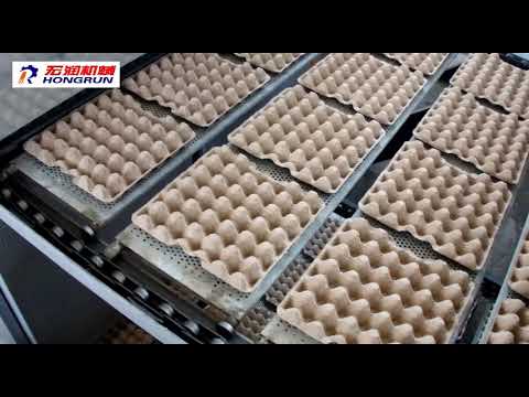 4000pcs/h wood/gas drying egg tray machine - YouTube