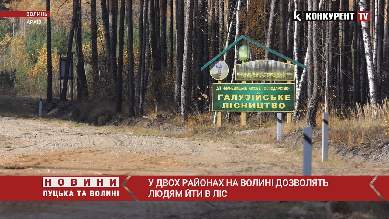 🌲На Волині людям дозволять ходити в ліс але не всім Youtube