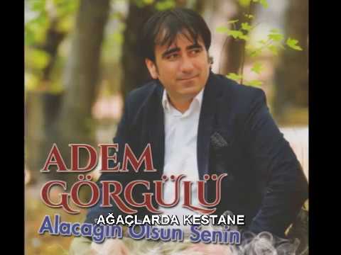 ADEM GÖRGÜLÜ - AĞAÇLARDA KESTANE