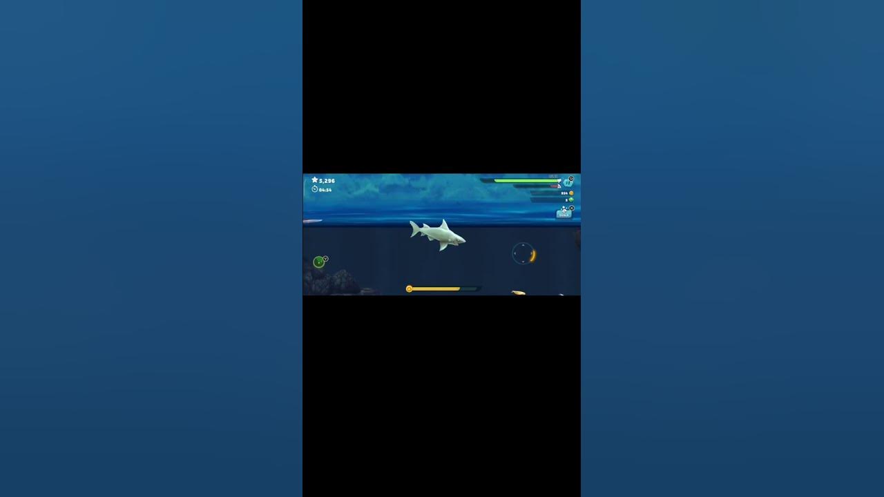 HUNGRY SHARK GAME - YouTube