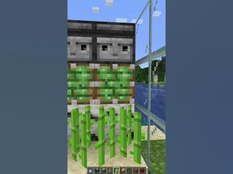 Tuto comment faire une ferme a canne à sucre automatique sur Minecraft😮 ...