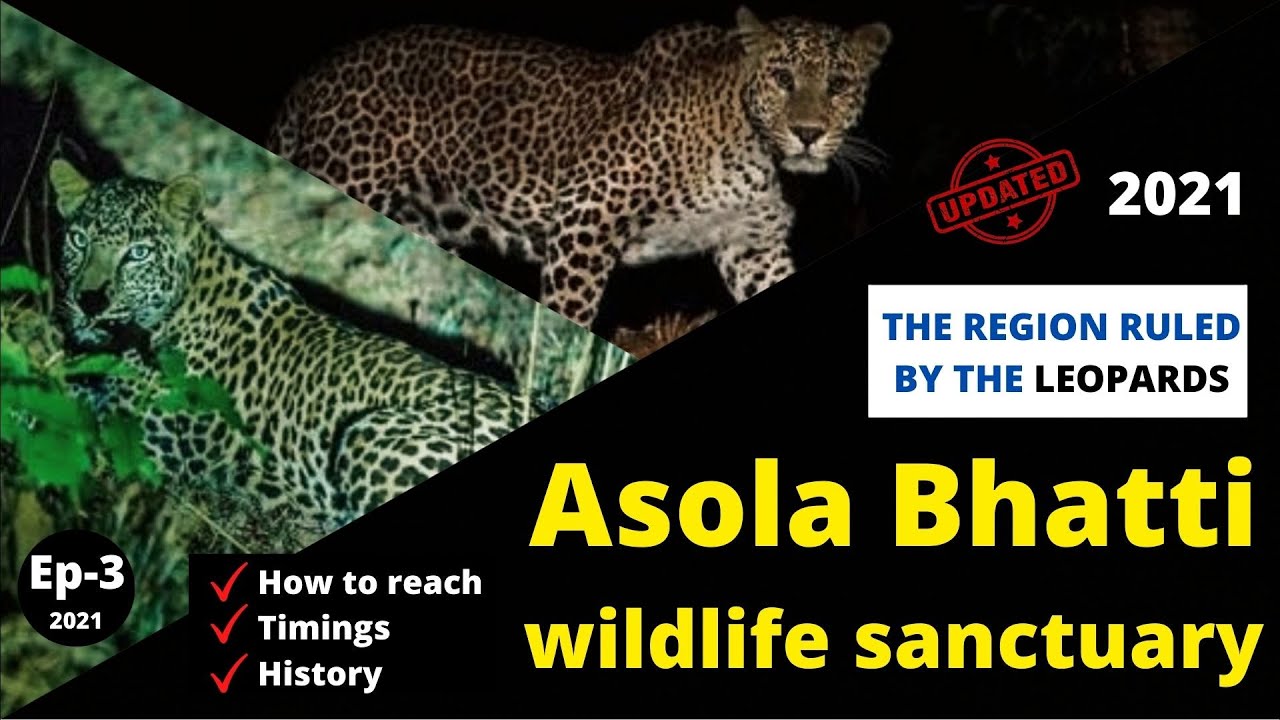 Asola Bhatti Wildlife Sanctuary | How to reach | Surajkund delhi ...