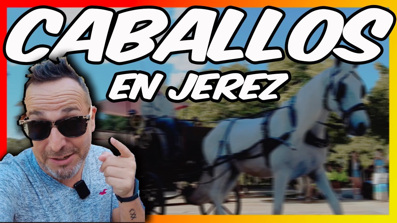 Caballos en Jerez de la Frontera - YouTube