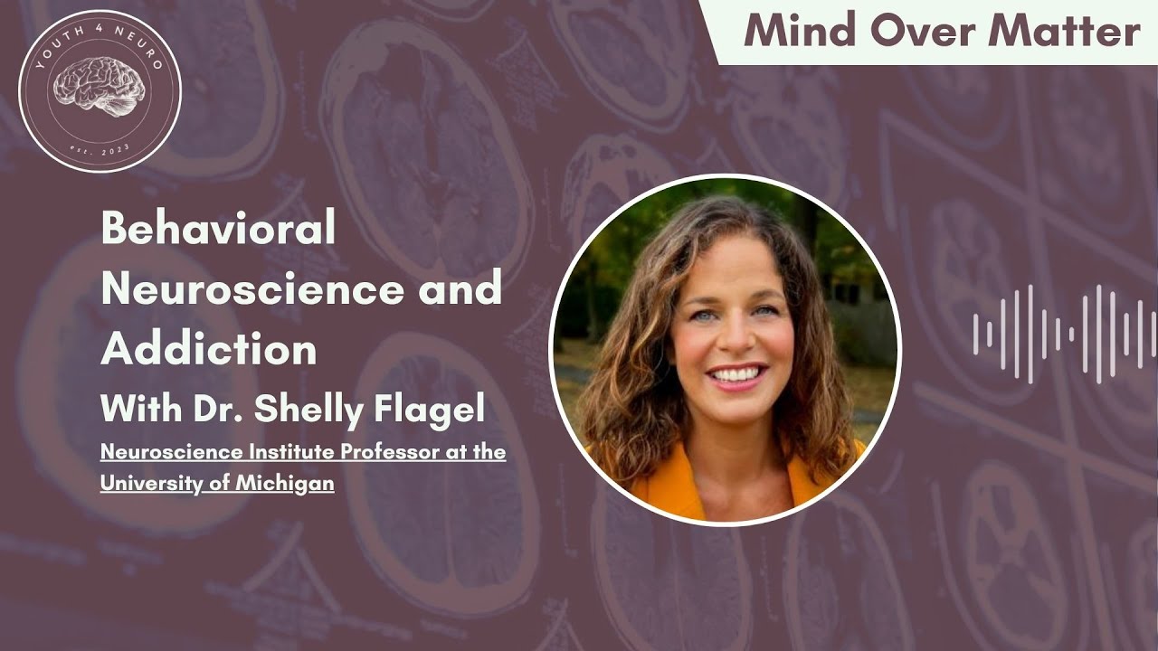 Behavioral Neuroscience and Addiction with Dr. Shelly Flagel - YouTube