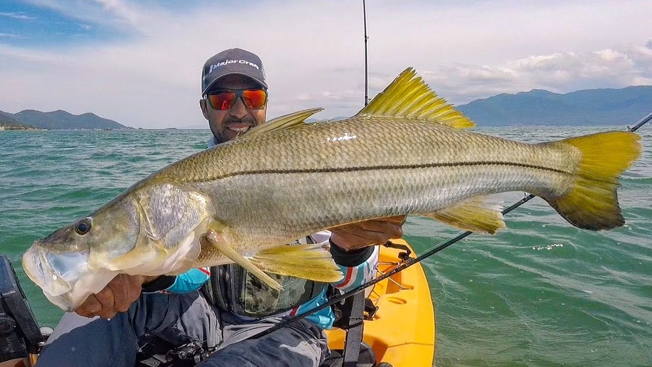 Compre essa Isca Artificial! Robalo Flecha não resiste!! #robalo # ...