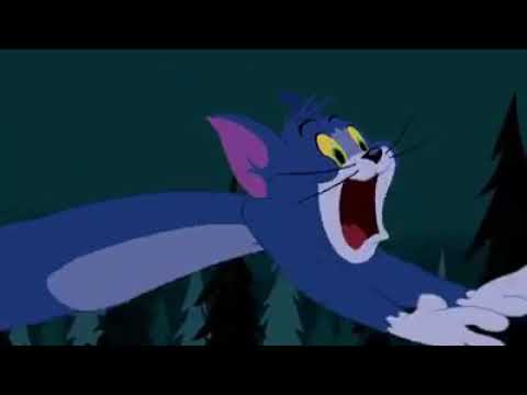 Tom & Jerry : Catch Fly - YouTube