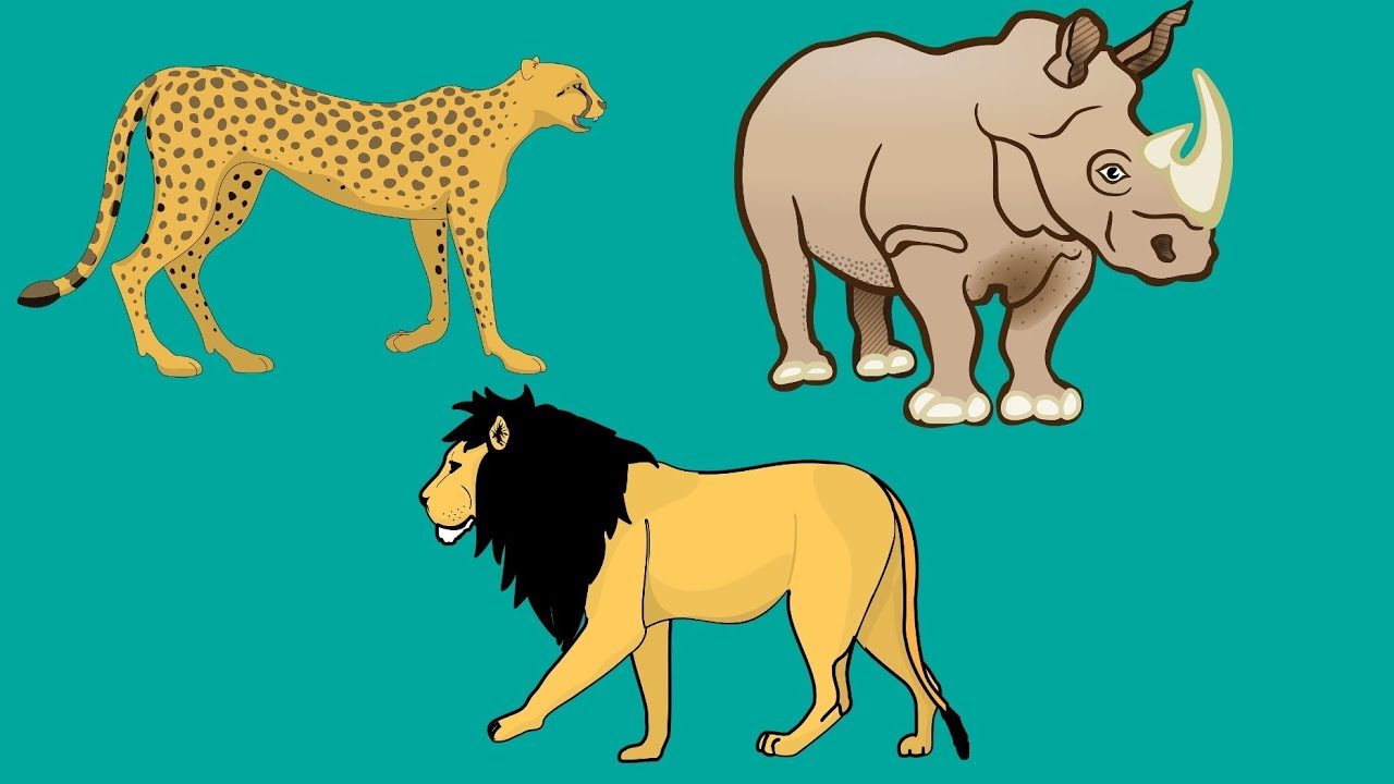 Compilation of Land Animals for Children | Teach Kids English | ABC ...