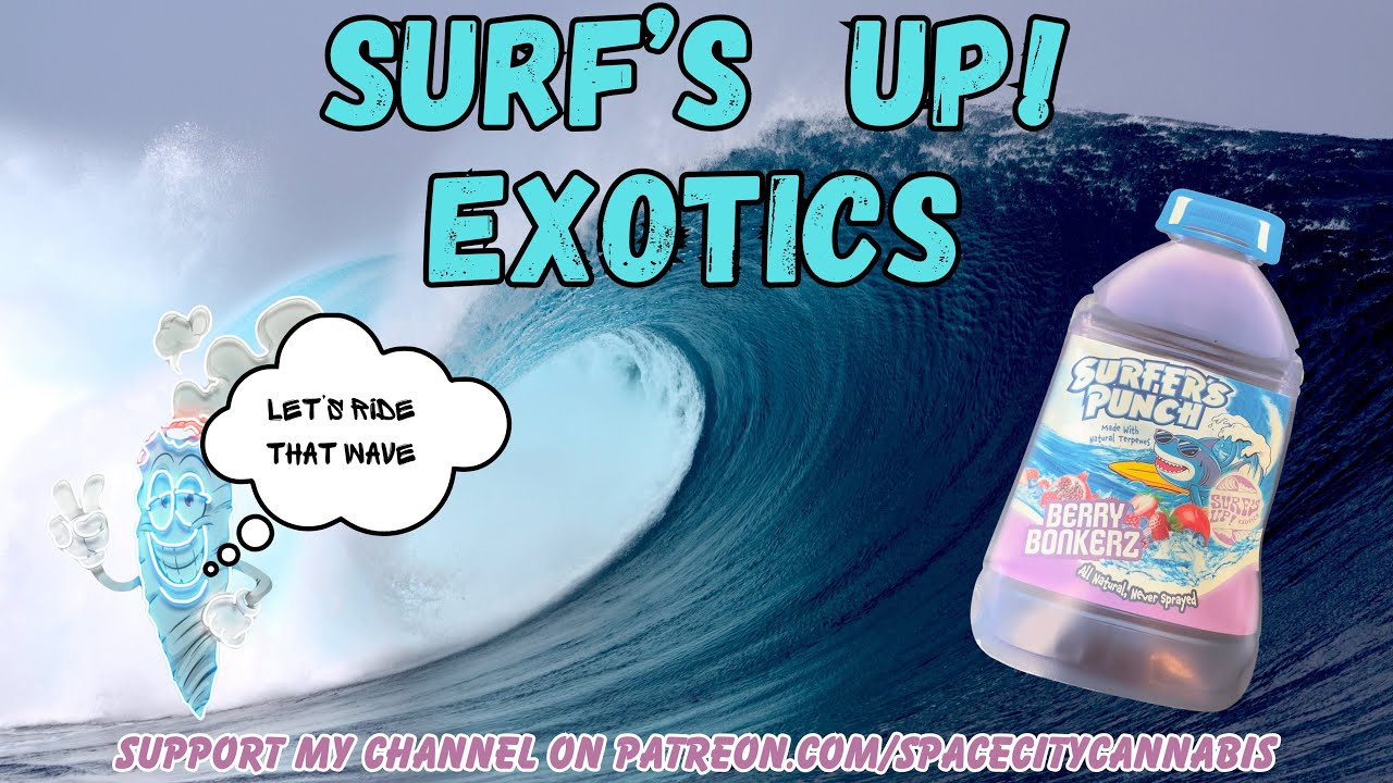 SURF’S UP! EXOTICS STRAIN REVIEW!: Berry Bonkers (🍓🍇🌊) Perfect Thirst ...