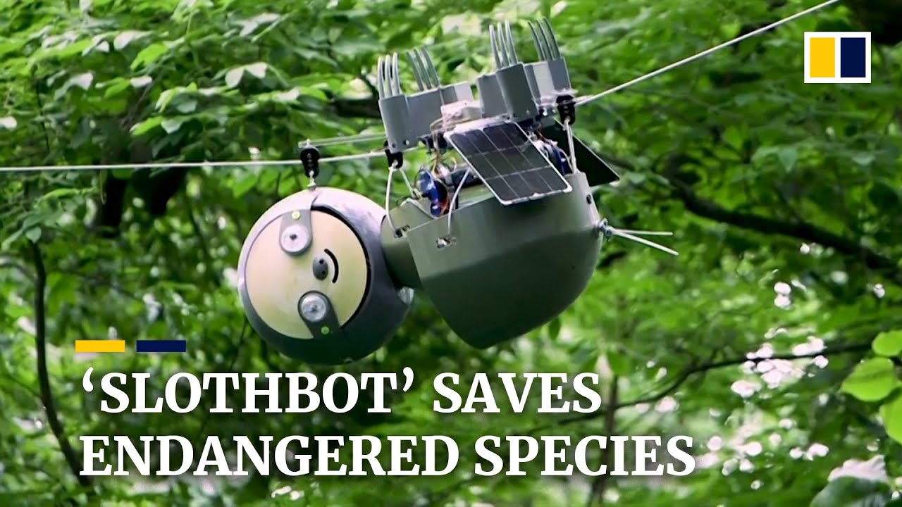 ‘Slothbot’ saves endangered species by moving slowly to see the big ...