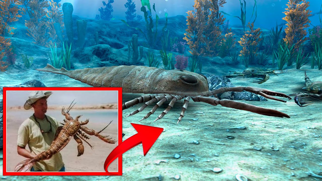 🦂 MEET PENTECOPTERUS, A SEA SCORPION OR ANOTHER SEA BEAST? - YouTube