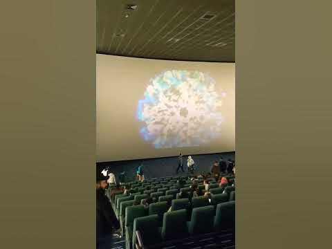IMAX 4D Screen and Cinema Hall #imax #4d #cinema #avatar #hollywood #film #funny #shorts - YouTube