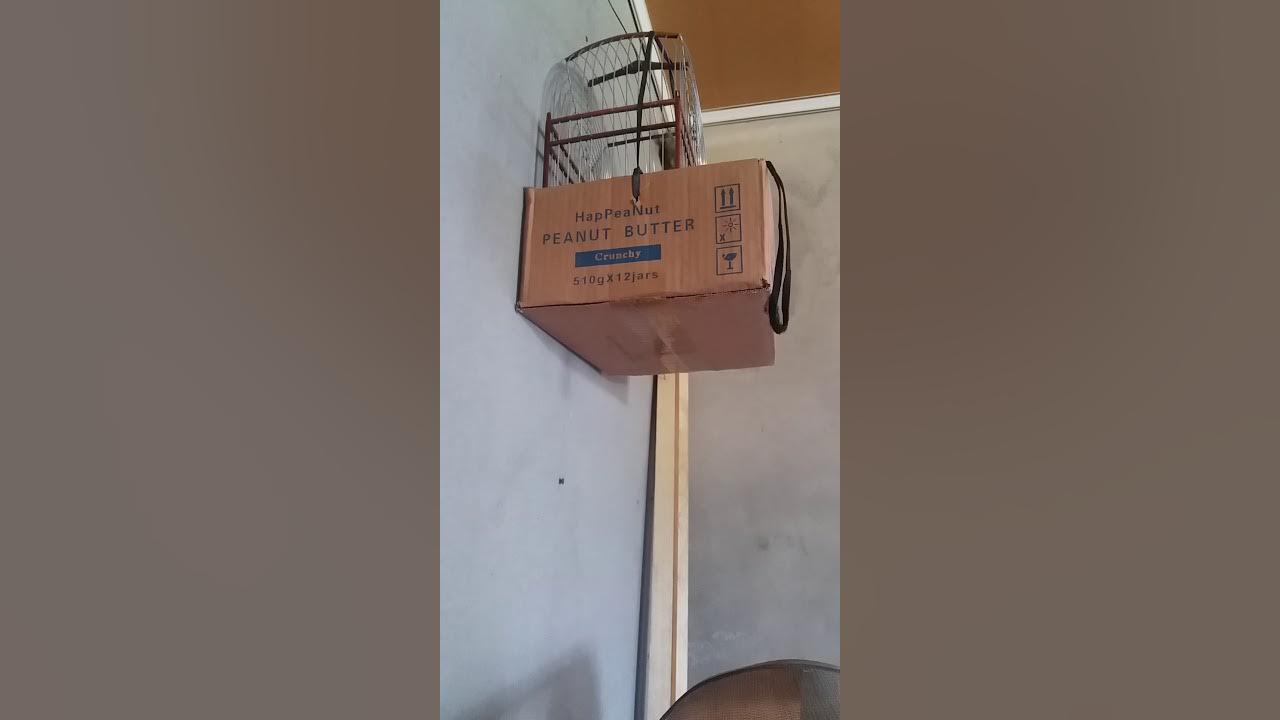 Jack/Djek met picolet slag...pié-pié - YouTube