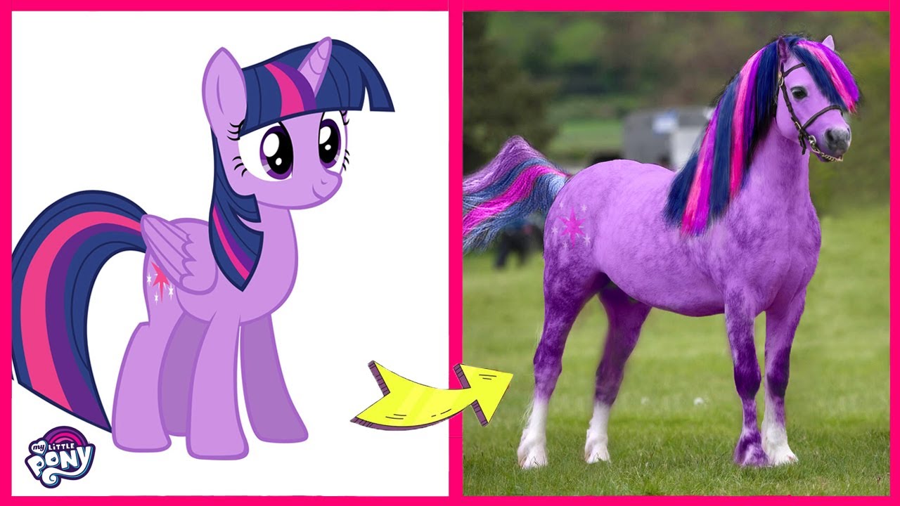 My Little Pony Characters And Their Monster ! My Little Pony Favorite ...