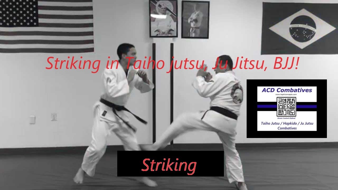 Strikes for Taiho Jutsu, Ju Jutsu, BJJ, Grappling arts. - YouTube