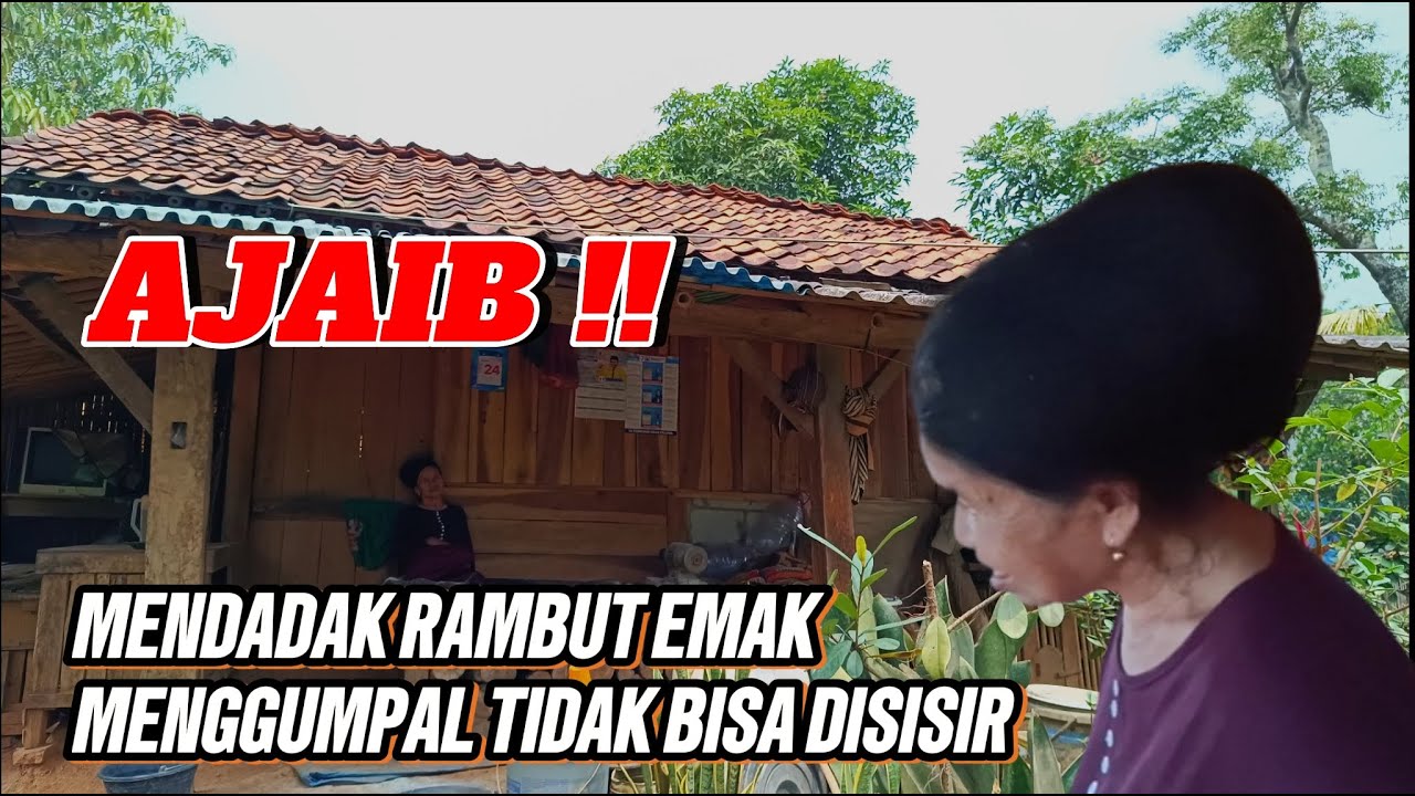 MENDADAK RAMBUT EMAK TIDAK BISA DISISIR DAN MEMBENTUK SANGGUL // ADA YG ...