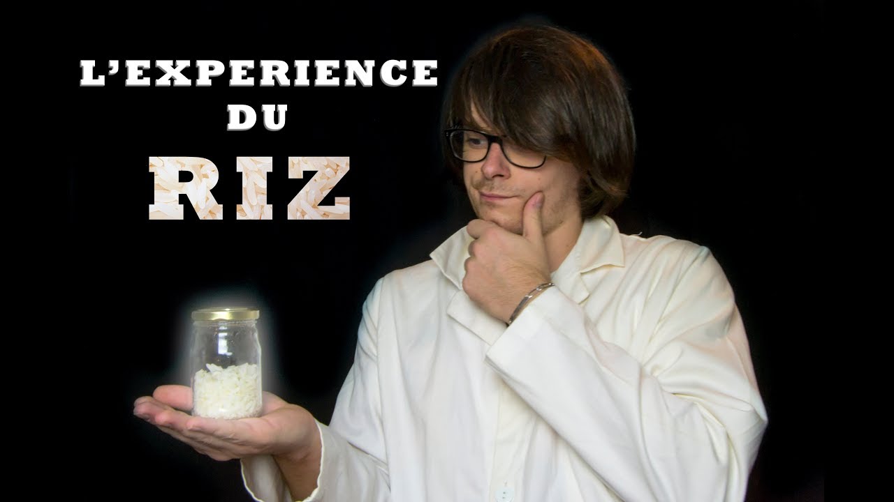 L'EXPERIENCE DU RIZ - BRAINLESS SCIENCE - YouTube
