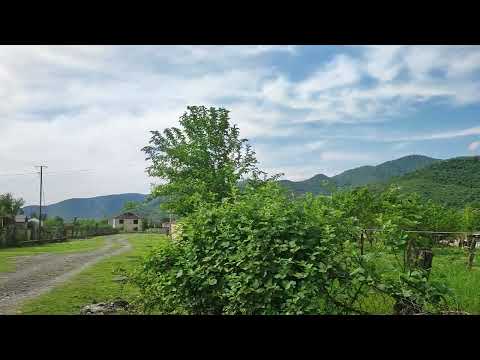 Balakəndə dağ mənzərəli torpaq satılır əlaqə 0503693002 vatsap var Tural makler Balakən