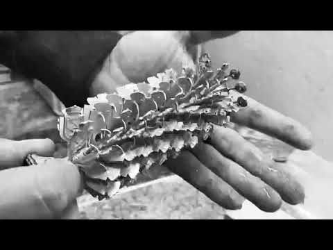 5 Fundicion a la Cera Perdida - YouTube