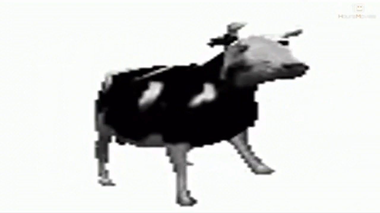 Dancing polish cow - YouTube