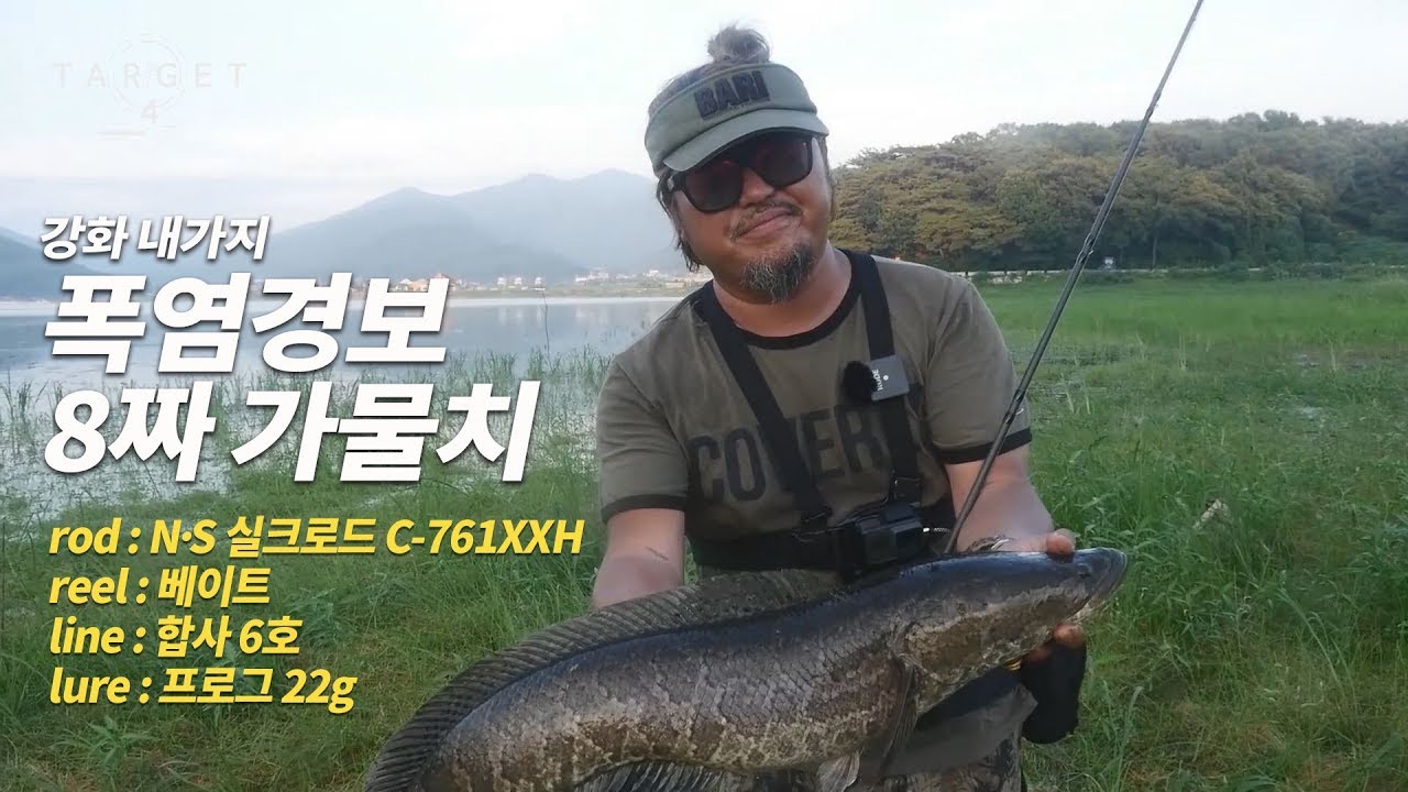 [51st_TARGET] 강화 내가지 8짜 가물치_snakehead / 강화발이 김재우 / らいぎょ - YouTube