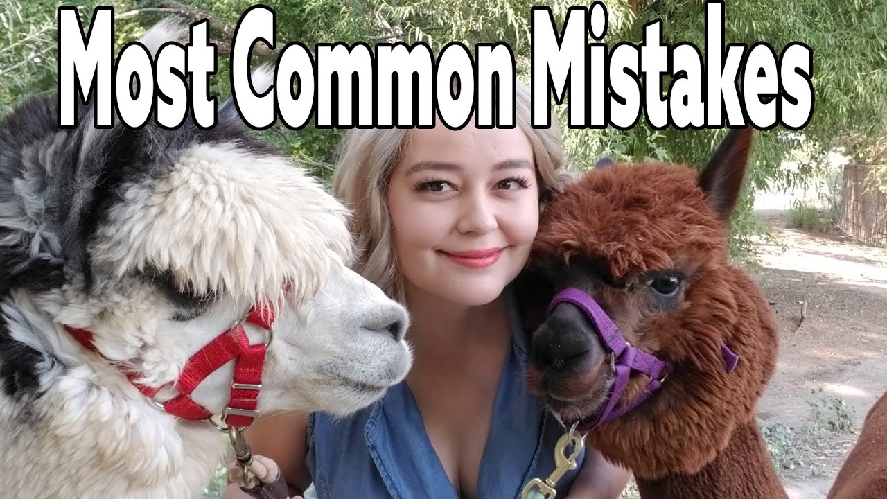 Most Common Mistakes Made By New Alpaca Owners - YouTube