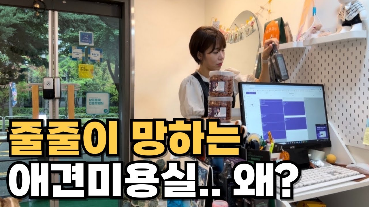 애견미용실 창업하는 사람들이 자주하는 실수‼️ 실패없는 애견미용실 창업 전략 애견미용사창업아이템여성창업창업교육소자본