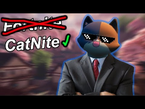 This Kitty Kat is Taking Over Fortnite because Summer Meowscles STILL ...