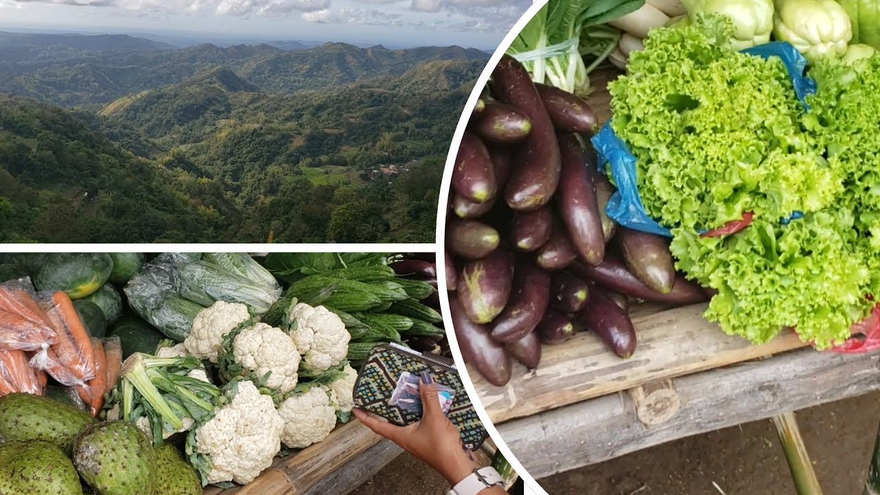 Bucari Leon Mountain Vegetable shopping SO FRESH - Beautiful PINE ...