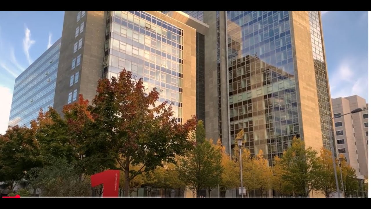 See how XBP Europe lets you bring your real self to work - everyday. We ...