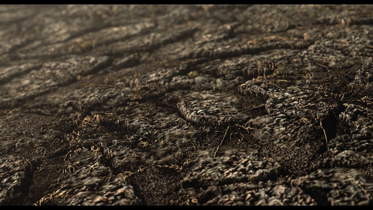 Ground Pack - Hard Soil Ground - Material Tweaks - YouTube