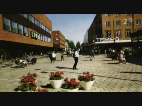 Miljonprogrammet - varför förfulades våra städer?