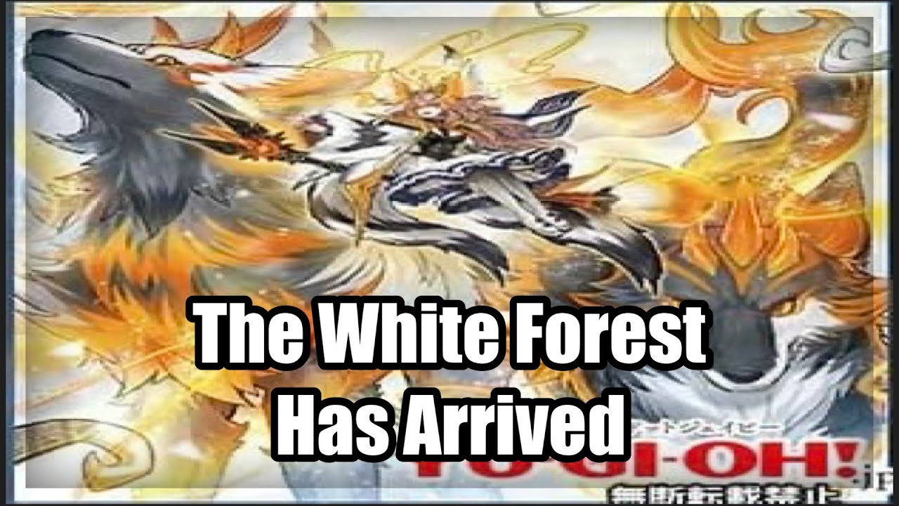 l YuGiOh l The White Forest! New Archetype! - YouTube