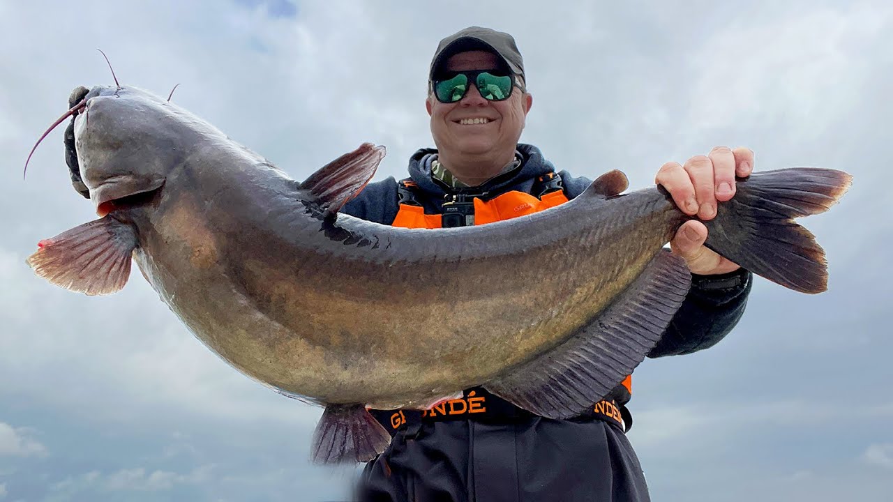 Catching Catfish When the Fish Are Not Biting - YouTube