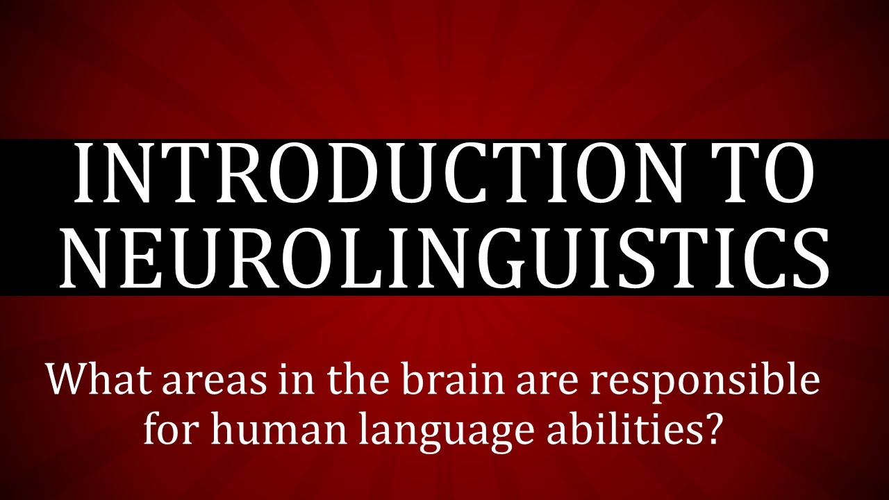 Neurolinguistics in Linguistics - Neurolinguistics Language and Brain ...