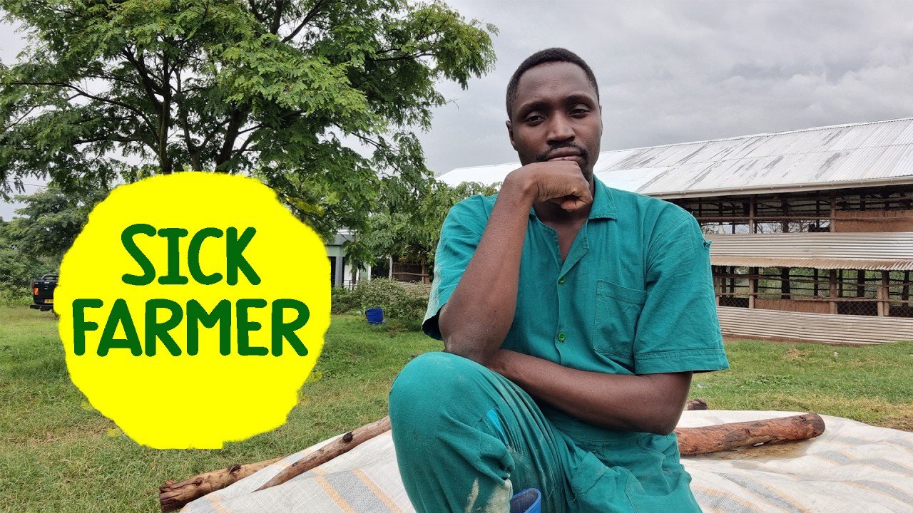 The Farmer is SICK! Will the Farm Survive? - YouTube