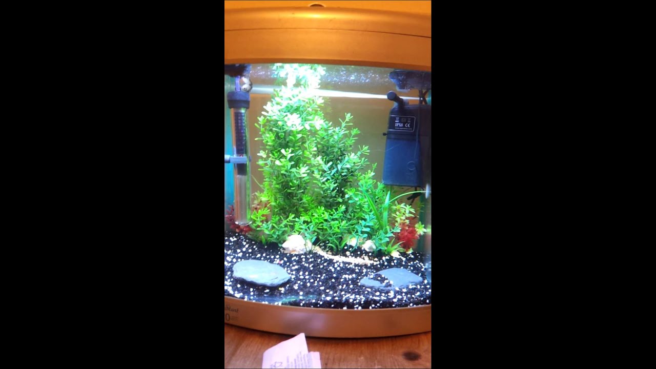 Aqua One AquaStart 320 - YouTube
